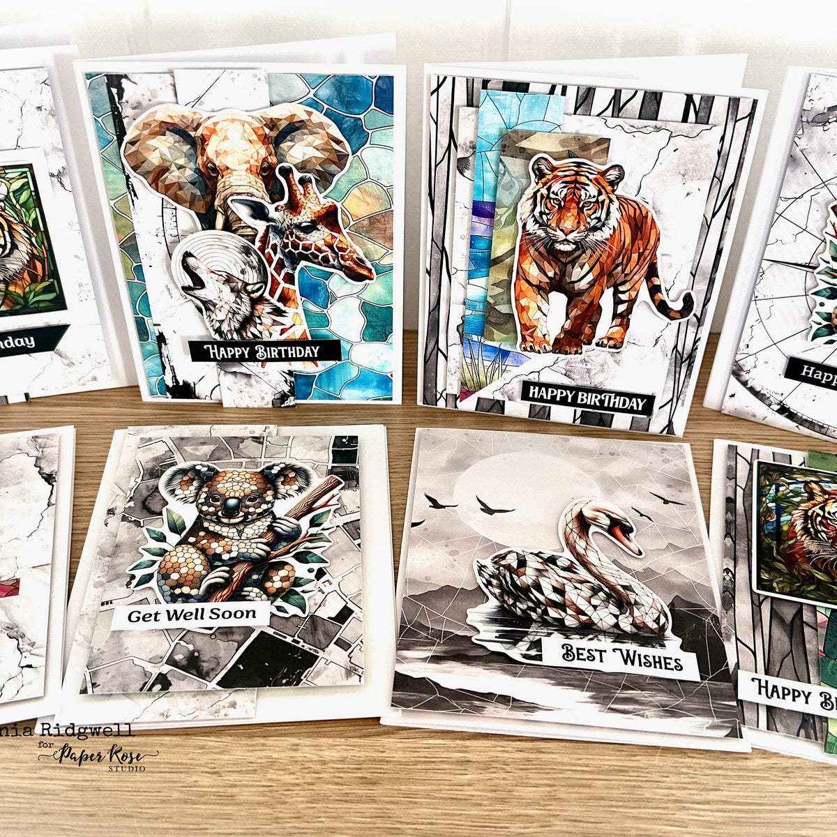 Animal Kingdom Cards - Tania Ridgwell – Paper Rose Studio USA Customers