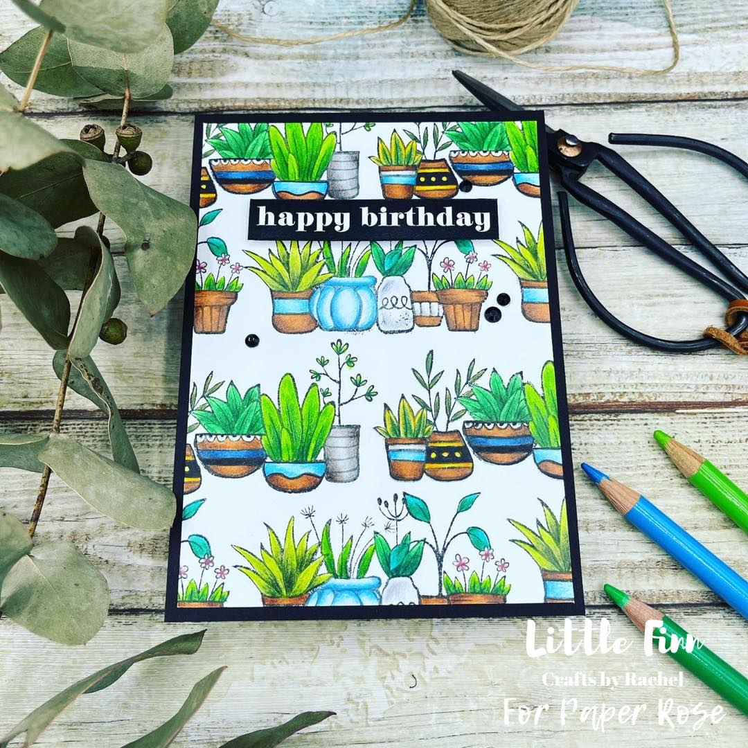 Flower Pot Border Card - Rachel Finn – Paper Rose Studio USA Customers