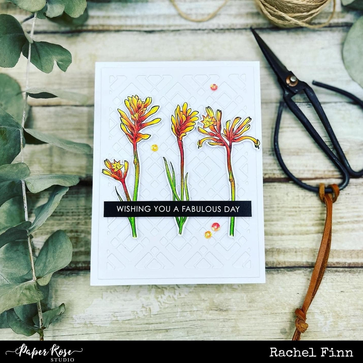 Wishing You A Fabulous Day - Rachel Finn – Paper Rose USA